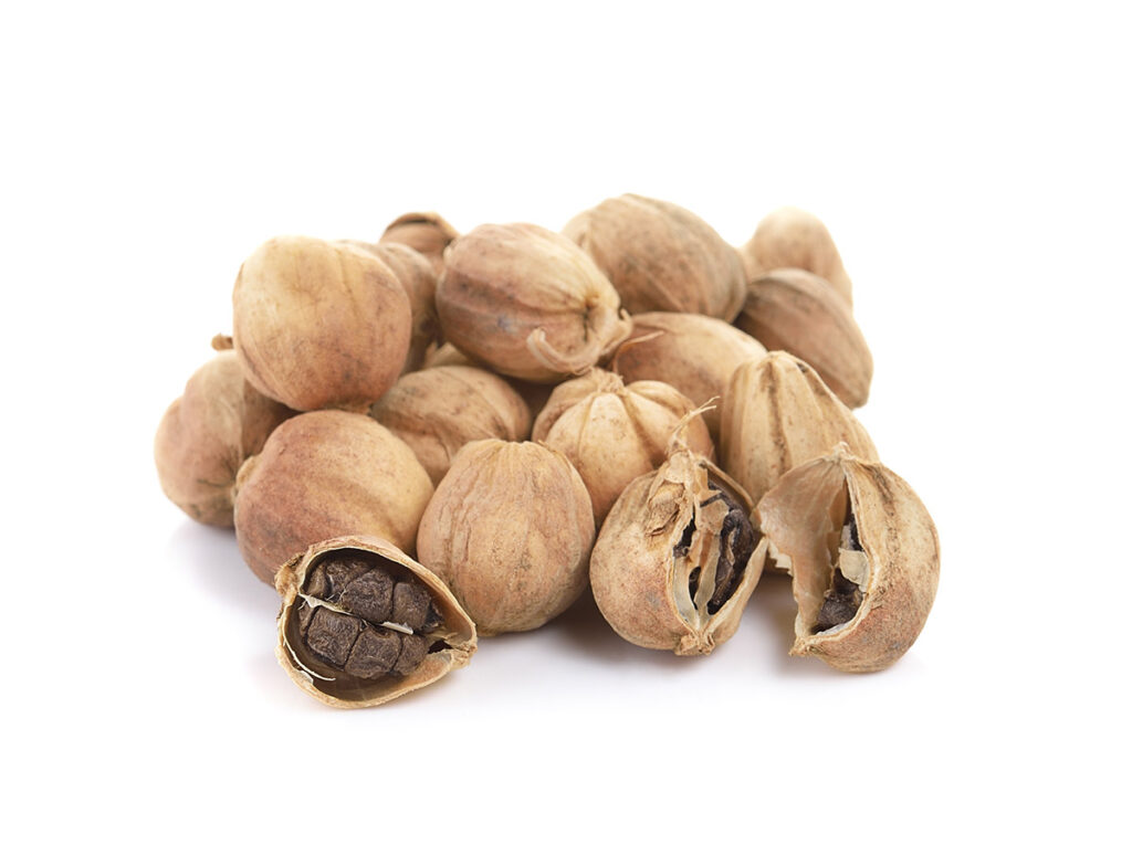 ¿Qué es el cardamomo blanco? - Blog de La Parada de las Especias
